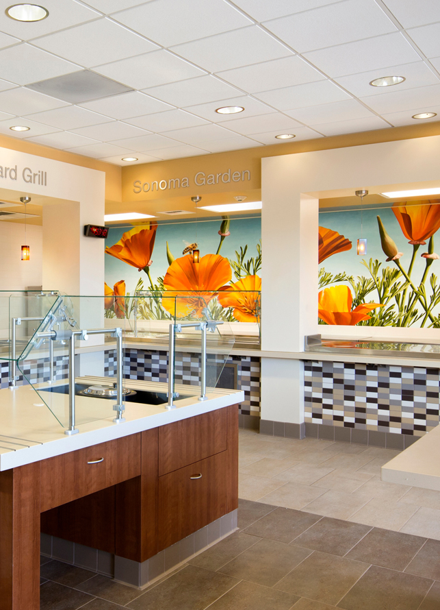 Sutter Santa Rosa Regional Hospital – Nancy Witherell Art